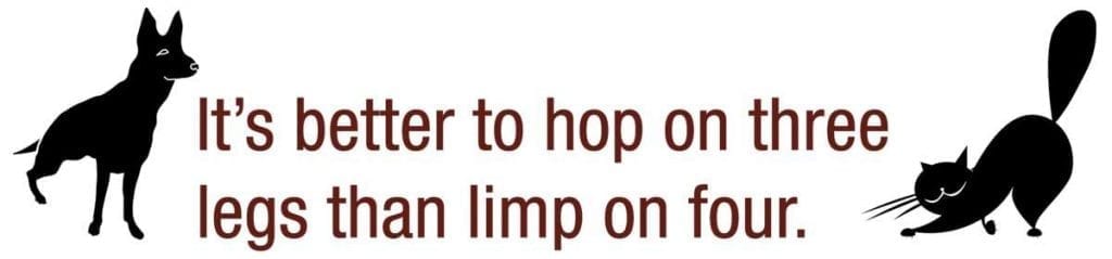 My Priscilla, our 1st blog post anywhere! – Priscilla